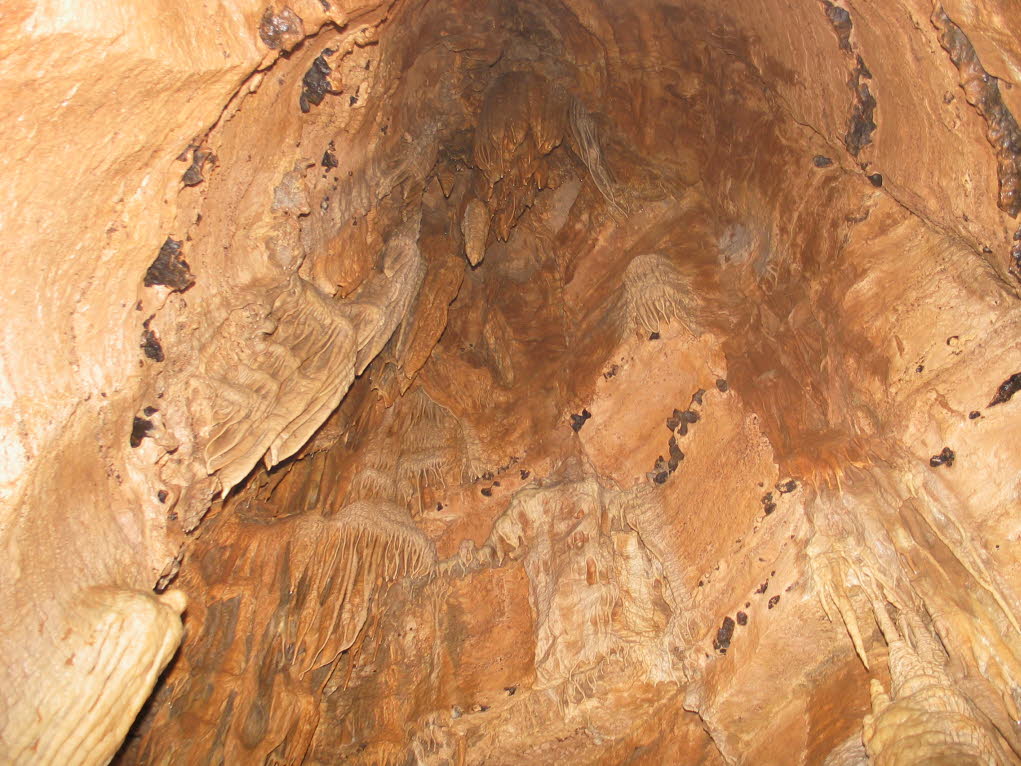 Cave Preserve Cold Water Cave Photos