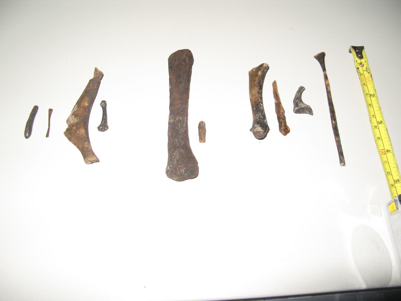 K a r s t P r e s e r v e